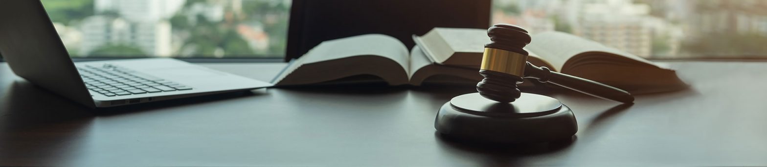 Attorney Leah Michaelson-Link Holds Bar Accountable for Overly ...